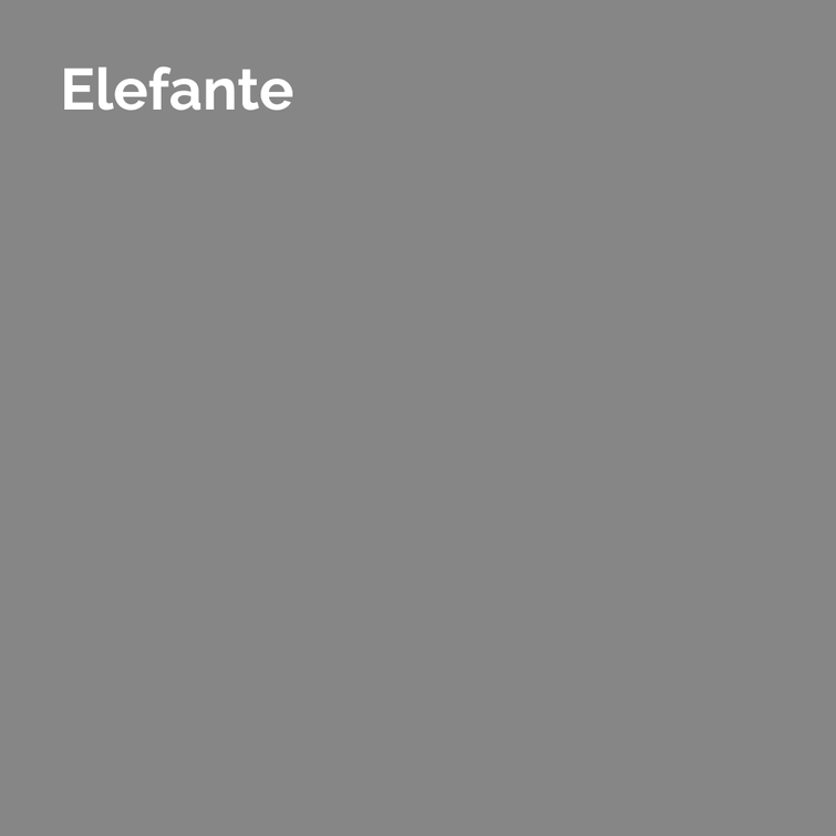 Tinta Acrílica Toque Fosco Completo Elefante 3,6L Suvinil - hipertintas